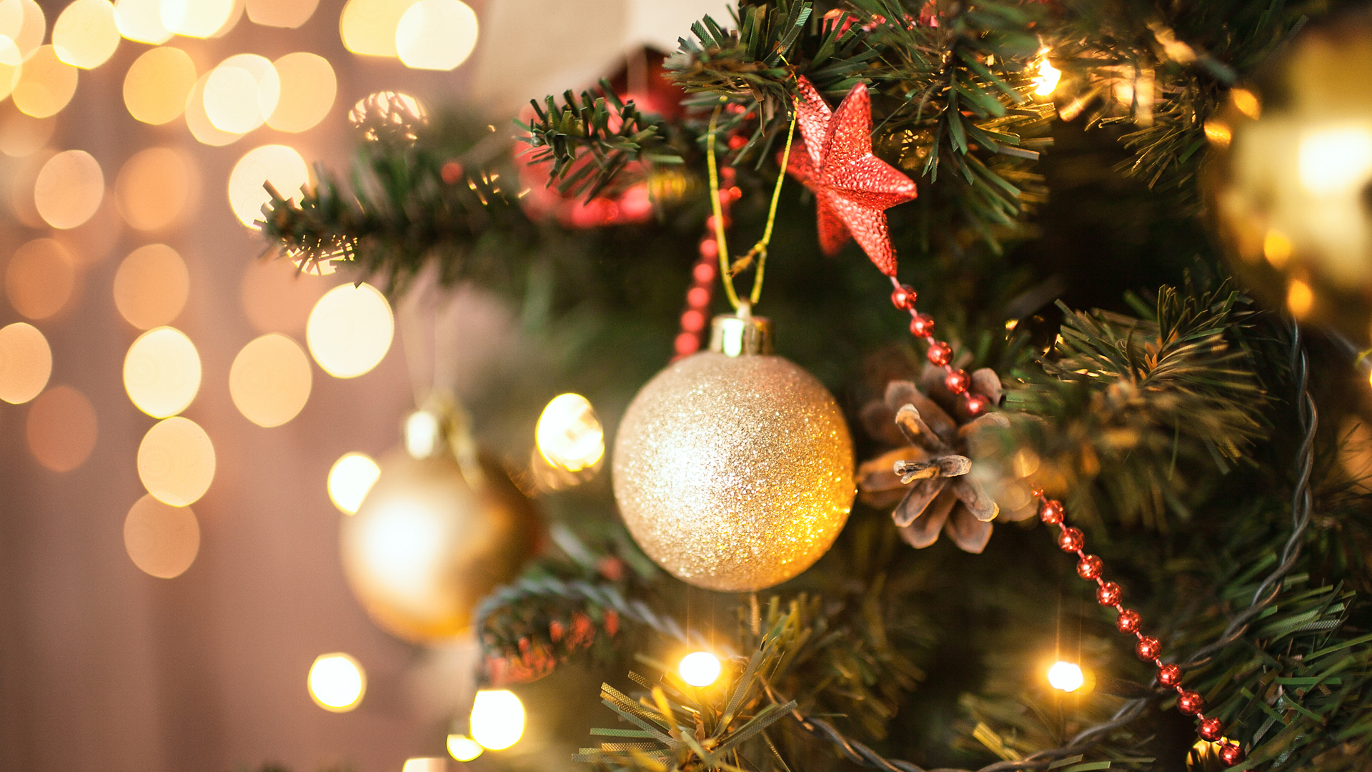 ¿Cuánto cuesta armar el arbolito de Navidad? - Timing Político ¿Cuánto cuesta armar el arbolito de Navidad? - Timing Político